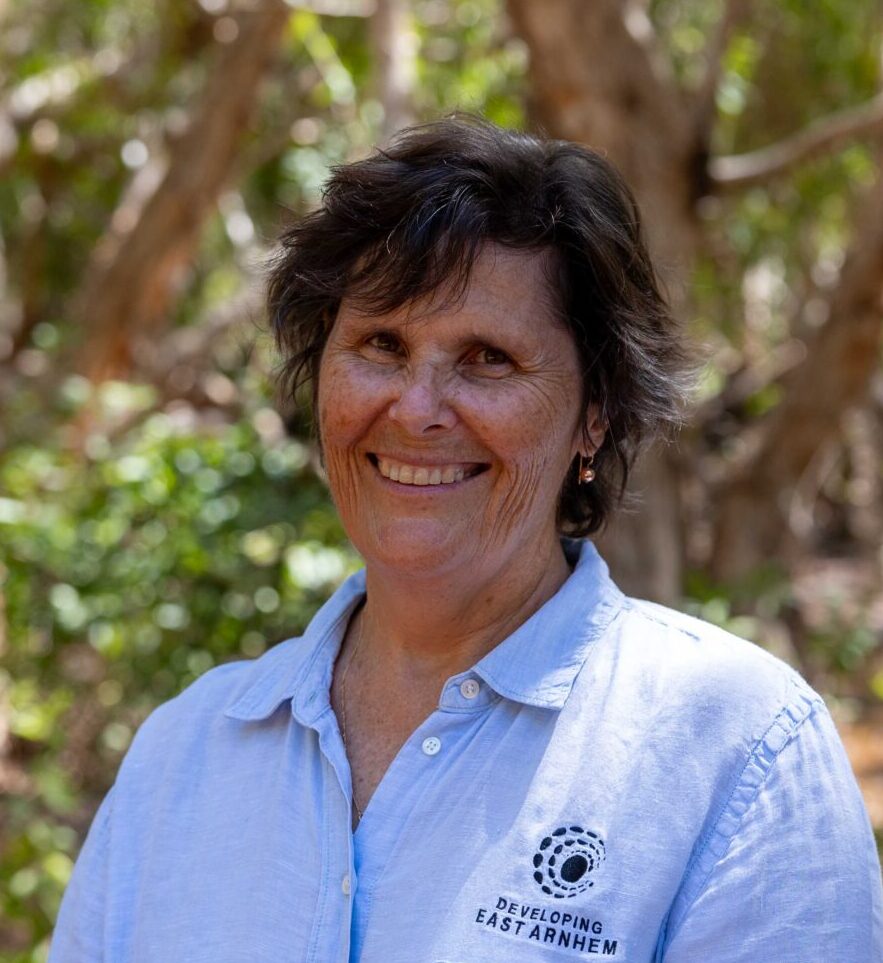 Jo-Anne Scarini » Developing East Arnhem